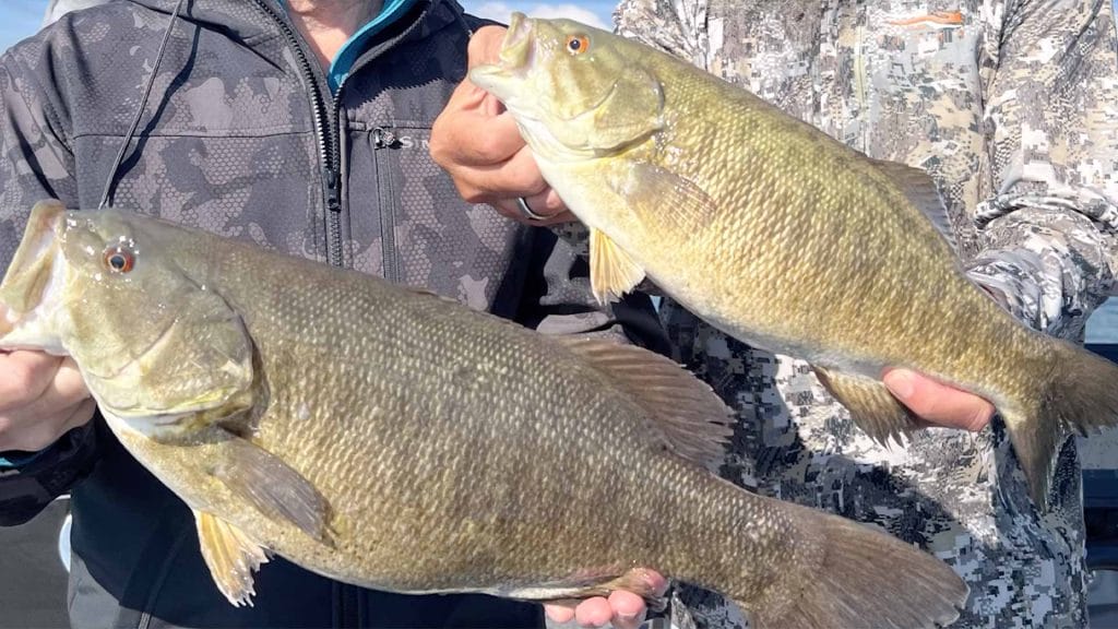 Lake Michigan Fishing Report: 6-17-24 Angling Edge Buzz