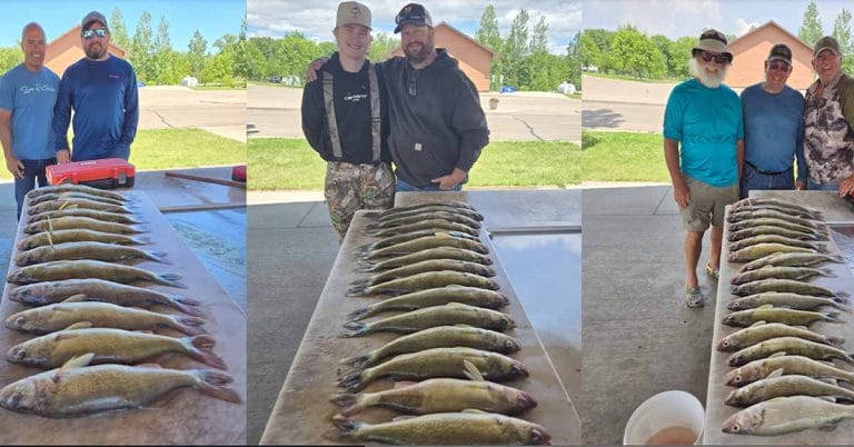 Devils Lake Fishing Report: 7-19-2024 Angling Edge Buzz