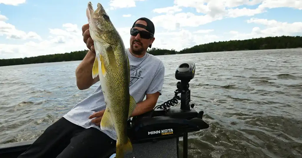 Ned Rigging Walleyes: Proven Techniques For Exciting Catches 2025