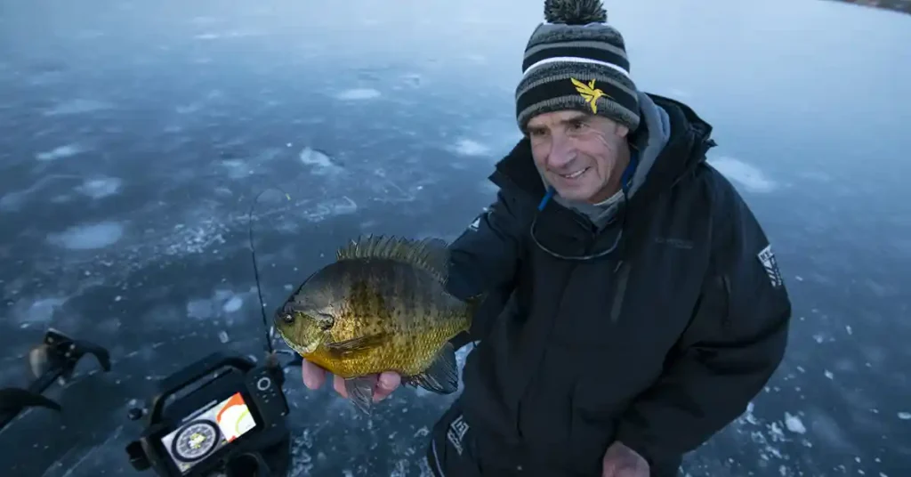 Ice Fishing Bluegills In Basins | Angling Edge Buzz