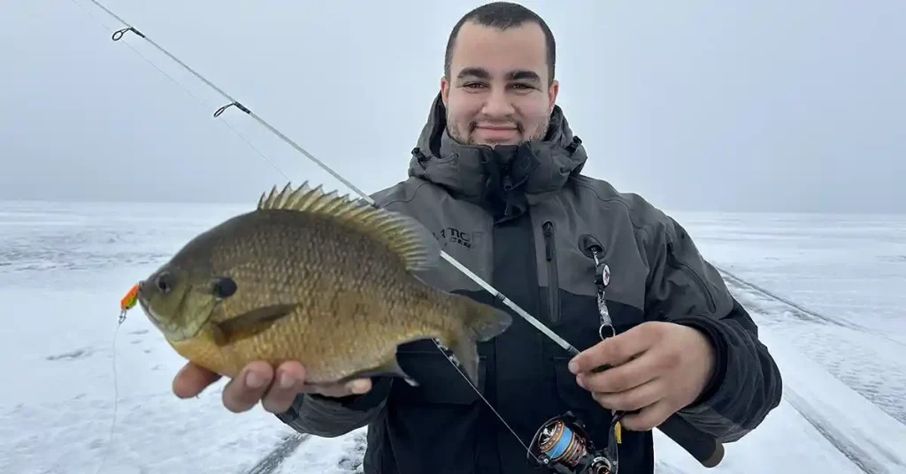 Ice Fishing Bluegills In Basins | Angling Edge Buzz