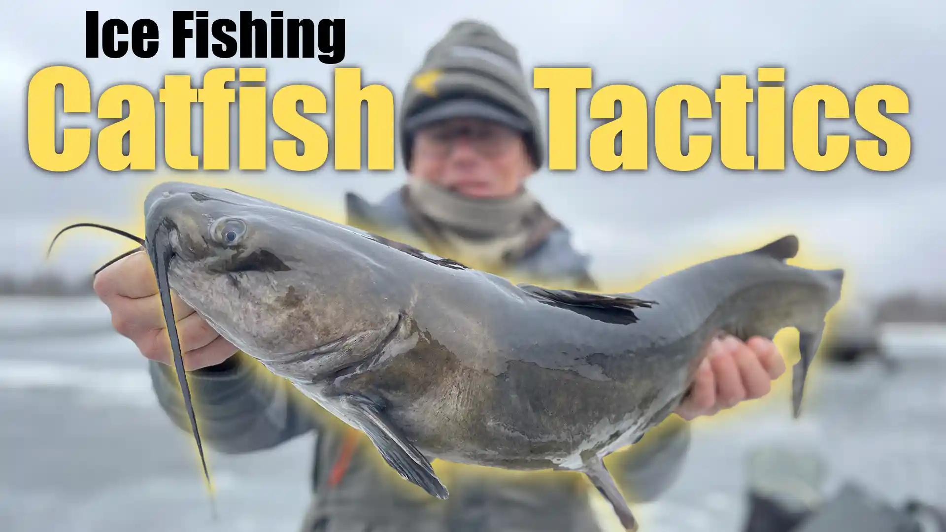 Ice Fishing Whitefish | Complete Guide | Angling Edge Buzz