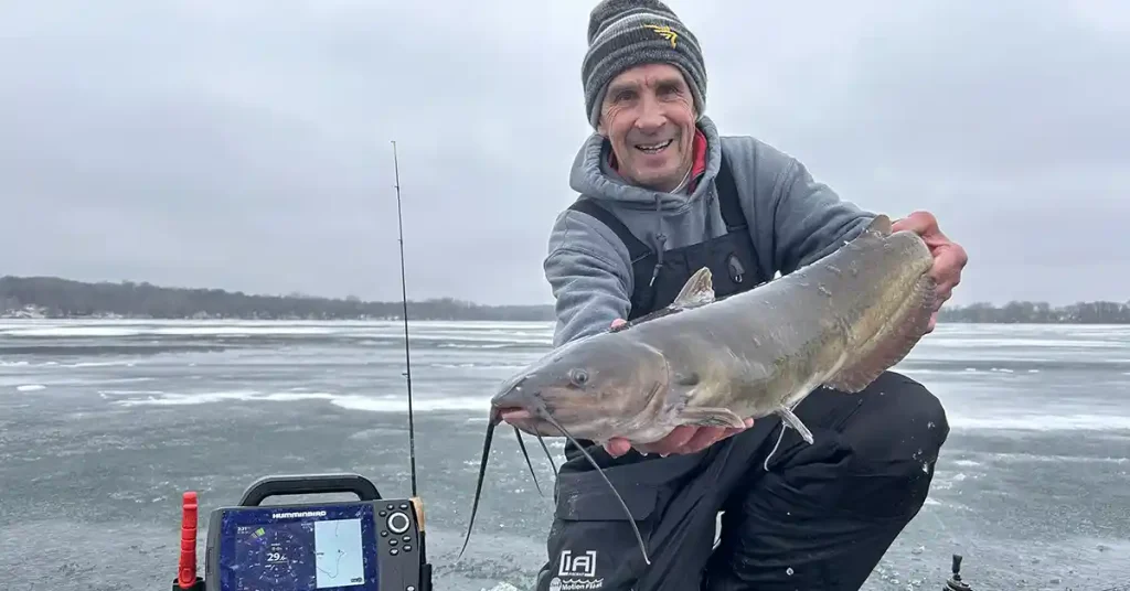 Ice Fishing Catfish Tactics Angling Edge Buzz