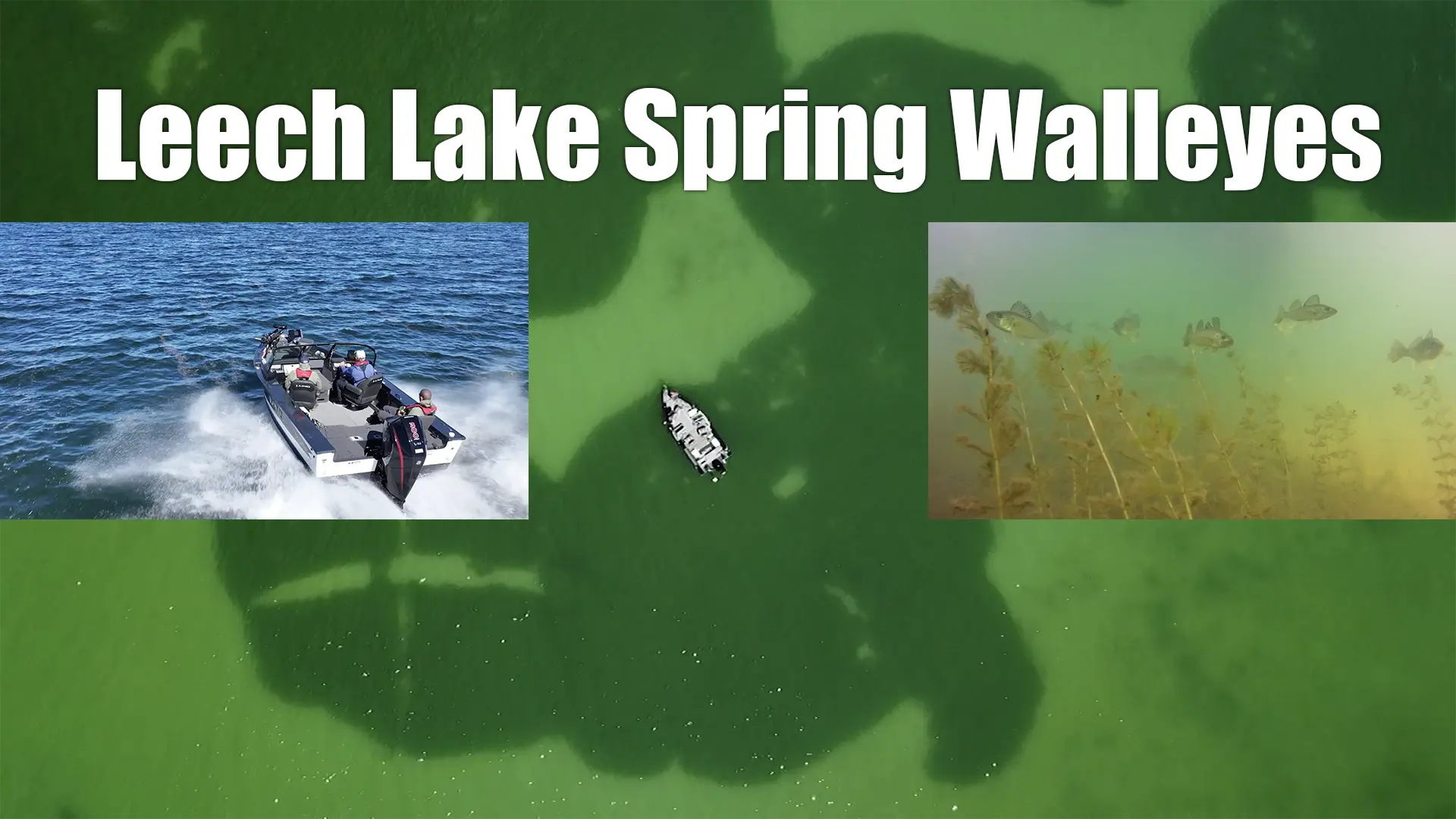 Spring Walleyes On Leech Lake Angling Edge Buzz