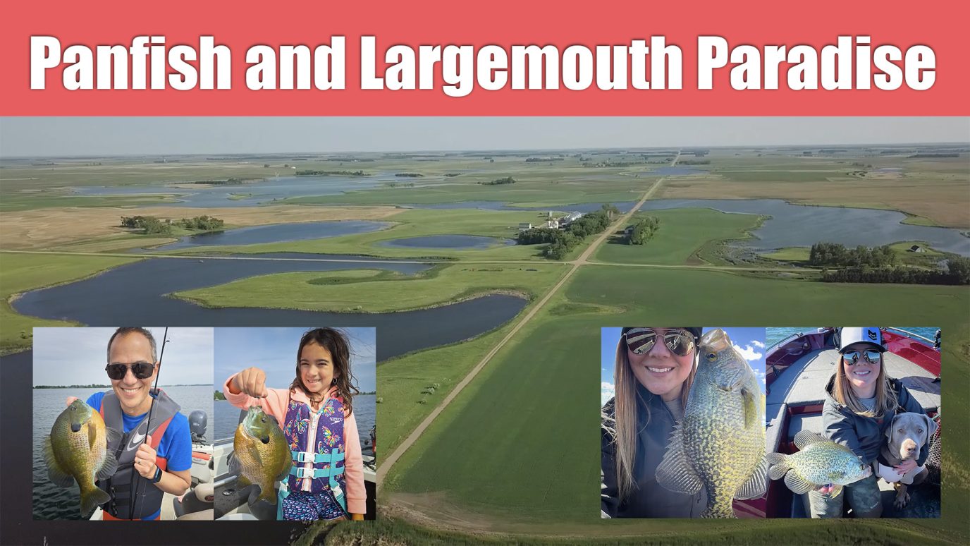 Alexandria Minnesota: A Largemouth And Panfish Paradise