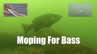 Homepage | Angling Edge Buzz