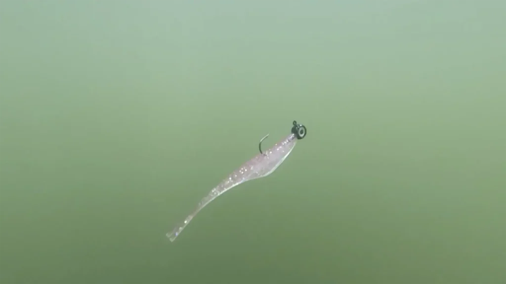 Moping: How The Lonely Minnow Revolutionized Bass Fishing